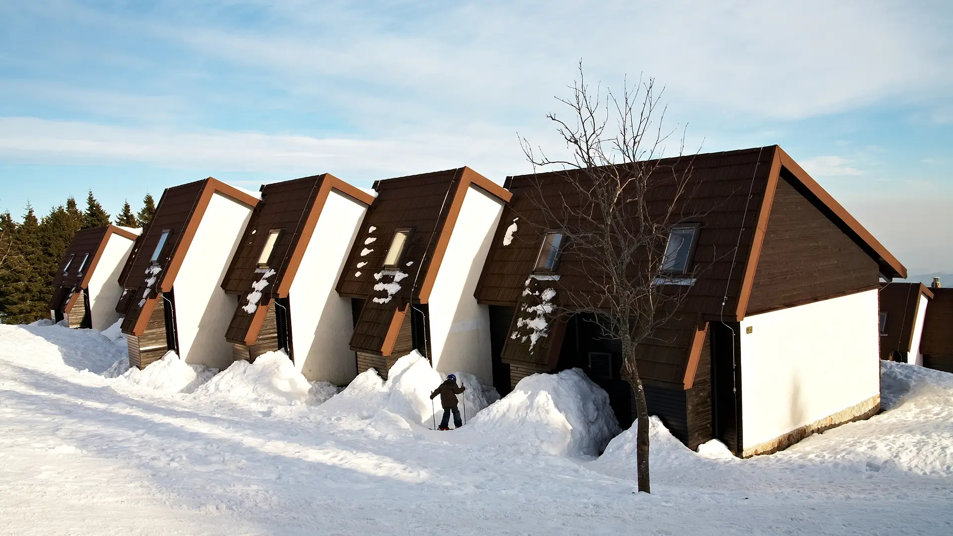 Bungalovi Rogla in Gaber